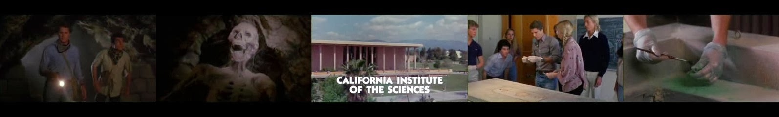 Sticky Red: A Bodycount Compendium: The Return of King Fungus: Time ...