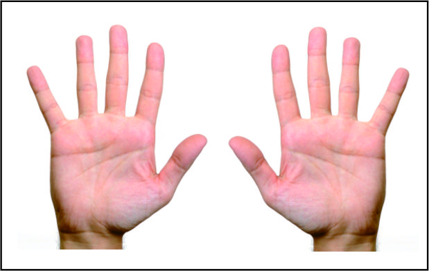 Soal K13 Kelas 1 Sd Tema 1 Diriku Subtema 2 Tubuhku Dan Kunci Jawaban ...