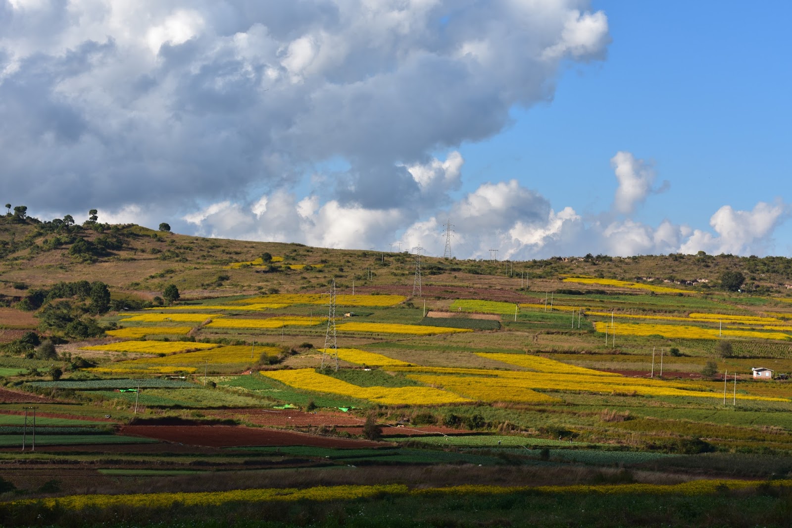 Kalaw Trekking Tour: Kalaw trekking