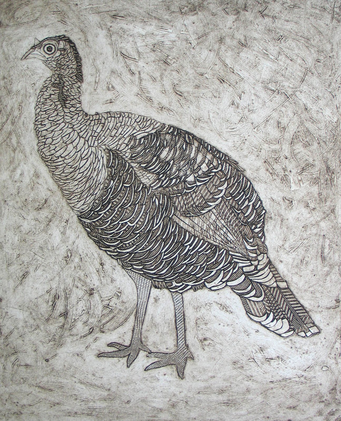 Bonnie Murray Prints: Wild Turkey Hen #2 (Hand Colored Collagraph of ...