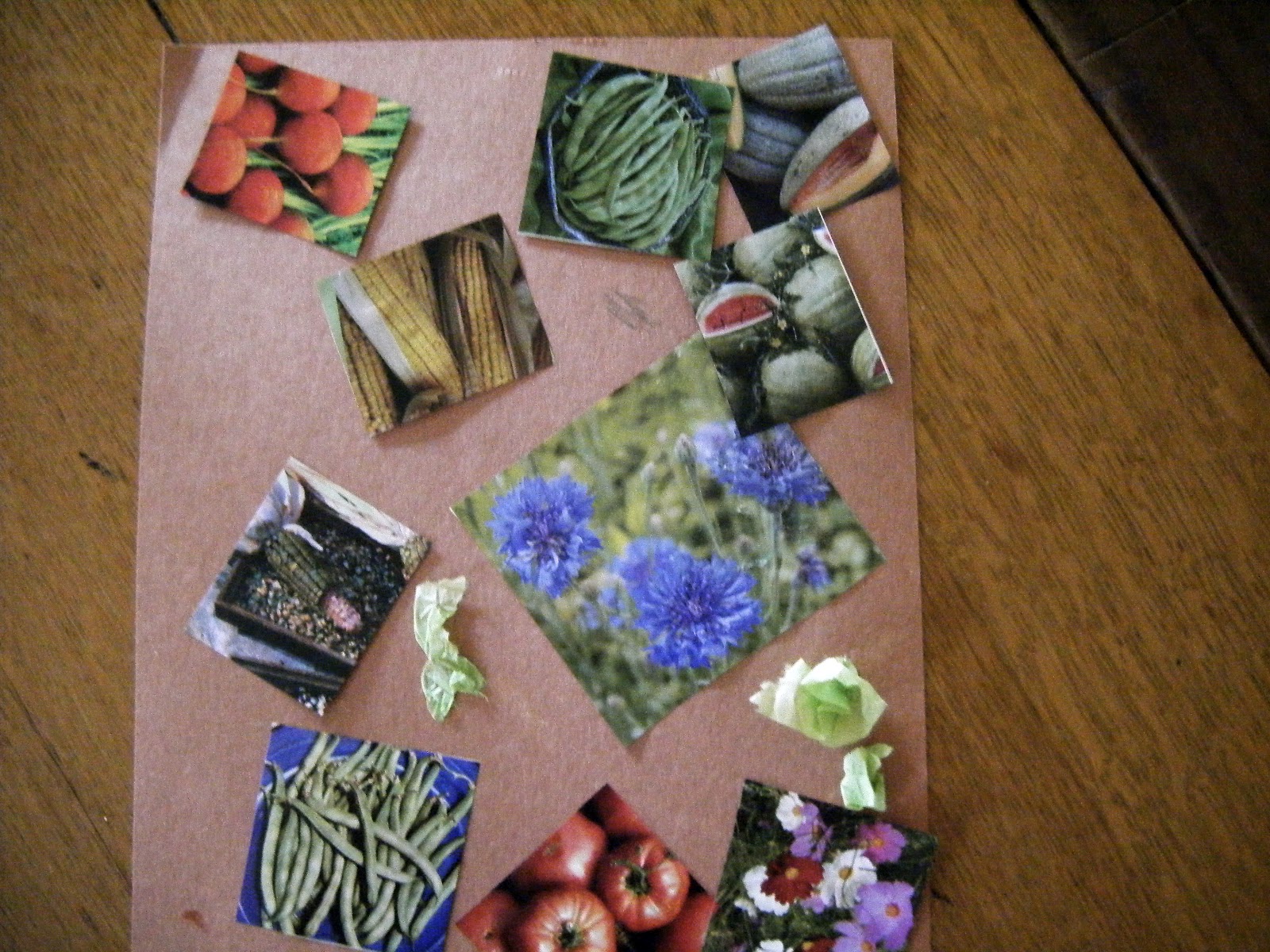 create (with kids): plant a collage - FreshlyPlanted