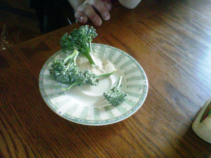 Going Dutch Colonial Style: Back to Eden - A Garden Update