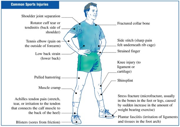 the fitter Fitter: Common Sports Injuries