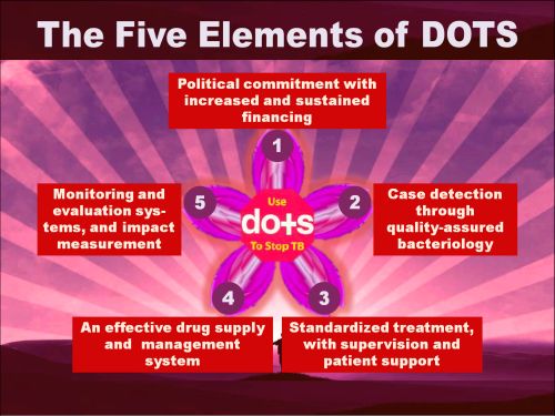 Mengenal AIDS, Tuberkulosis dan Malaria: STRATEGI MELAWAN TB DENGAN ...