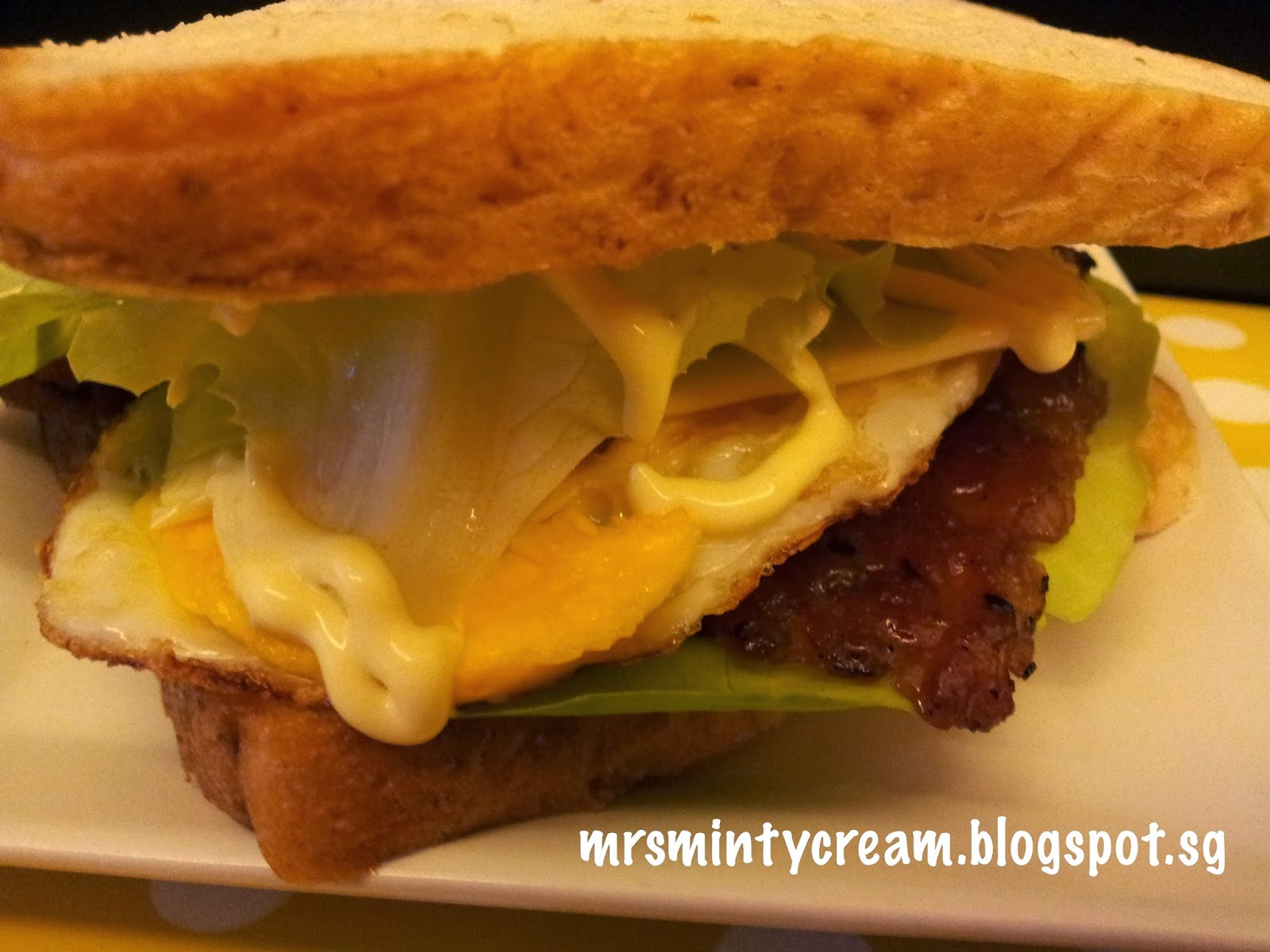 Mrs Minty Cream 22 Bak Kwa Barbecued Pork Jerky Sandwich