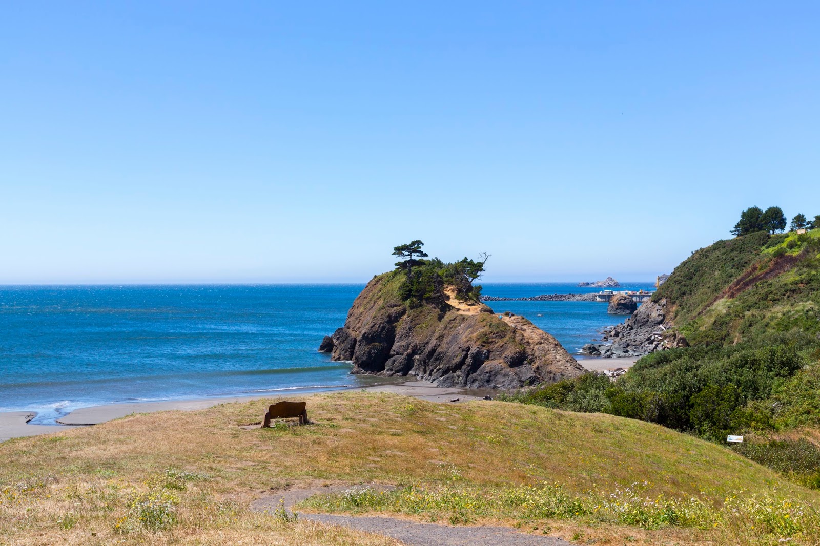 Naturetastic Blog: Port Orford - Oregon Coast