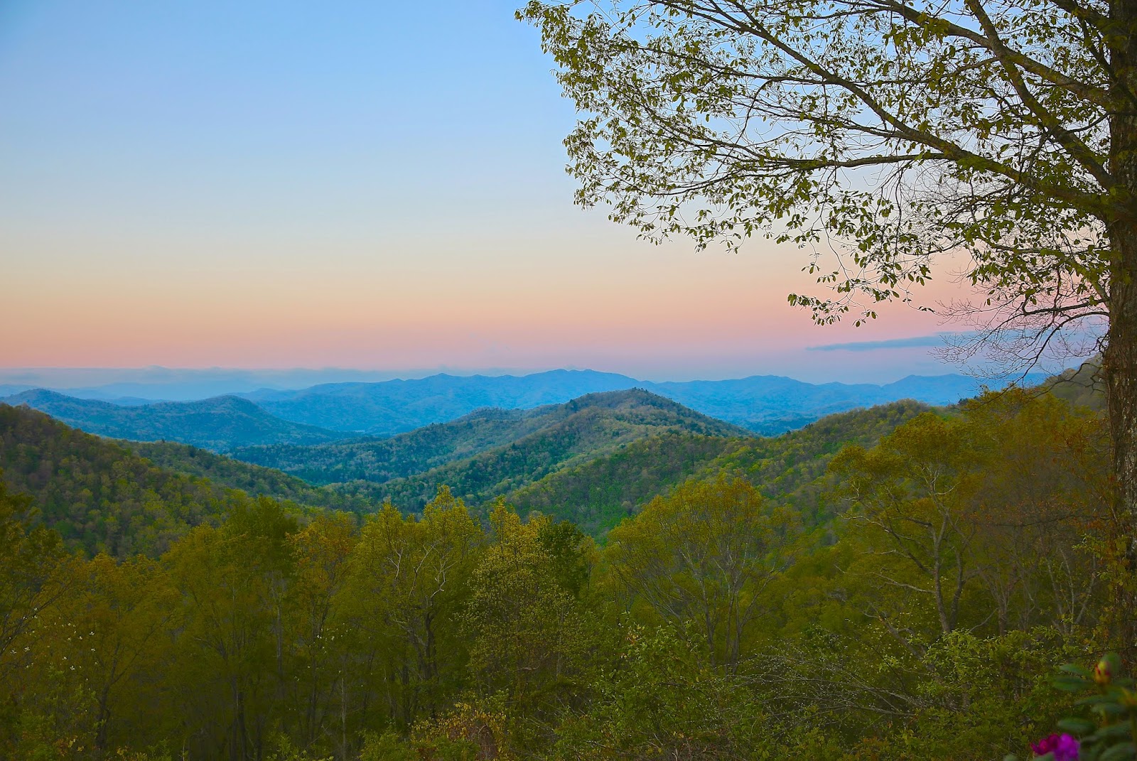 Sweet Southern Days: Springtime In The North Carolina Mountains