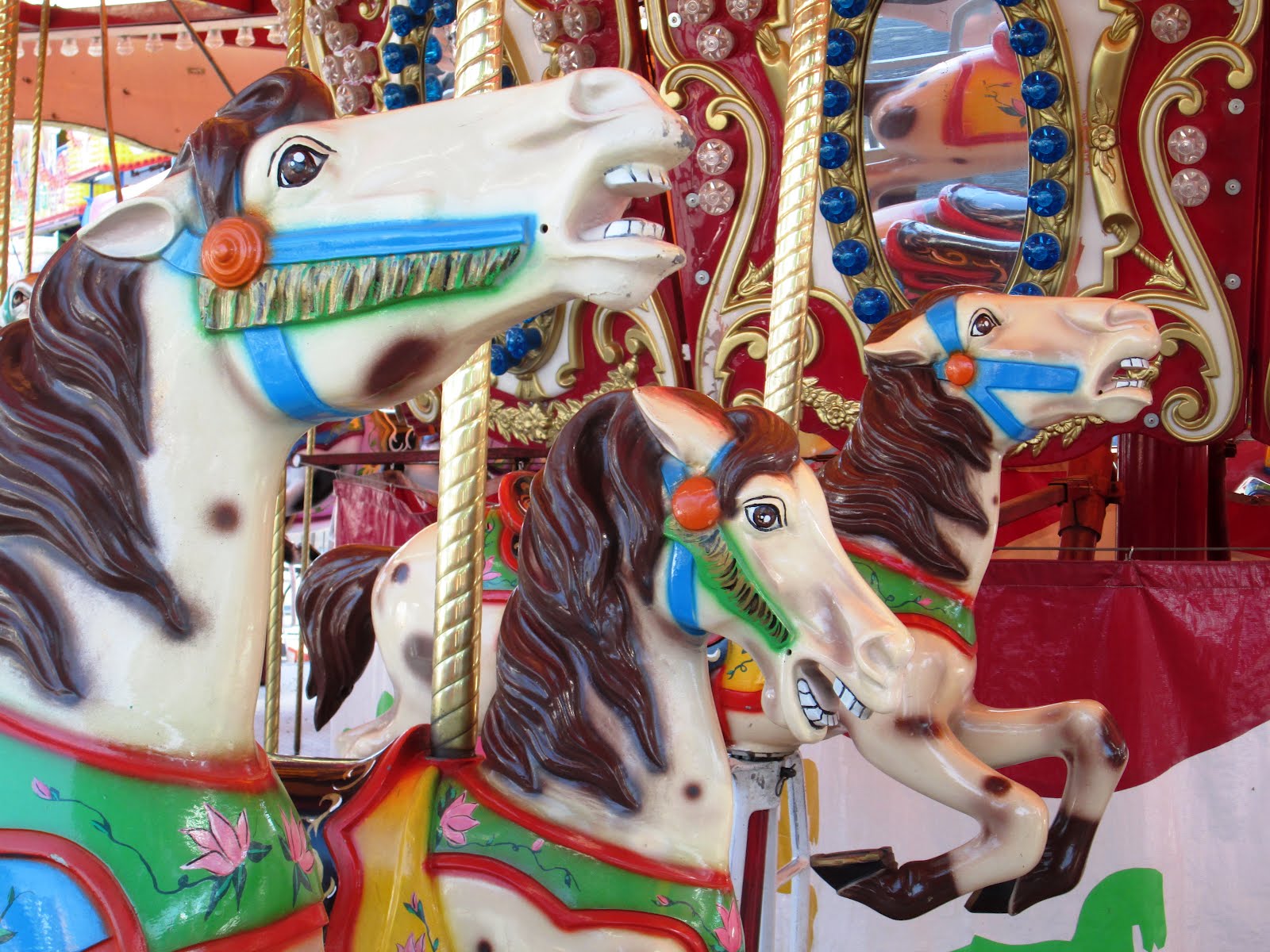 The Wild Reed: A Day at the Fair