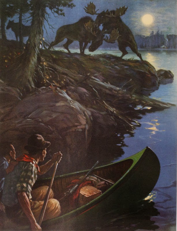 Home Waters: A Fly Fishing Life: Dreamtime: Philip R. Goodwin