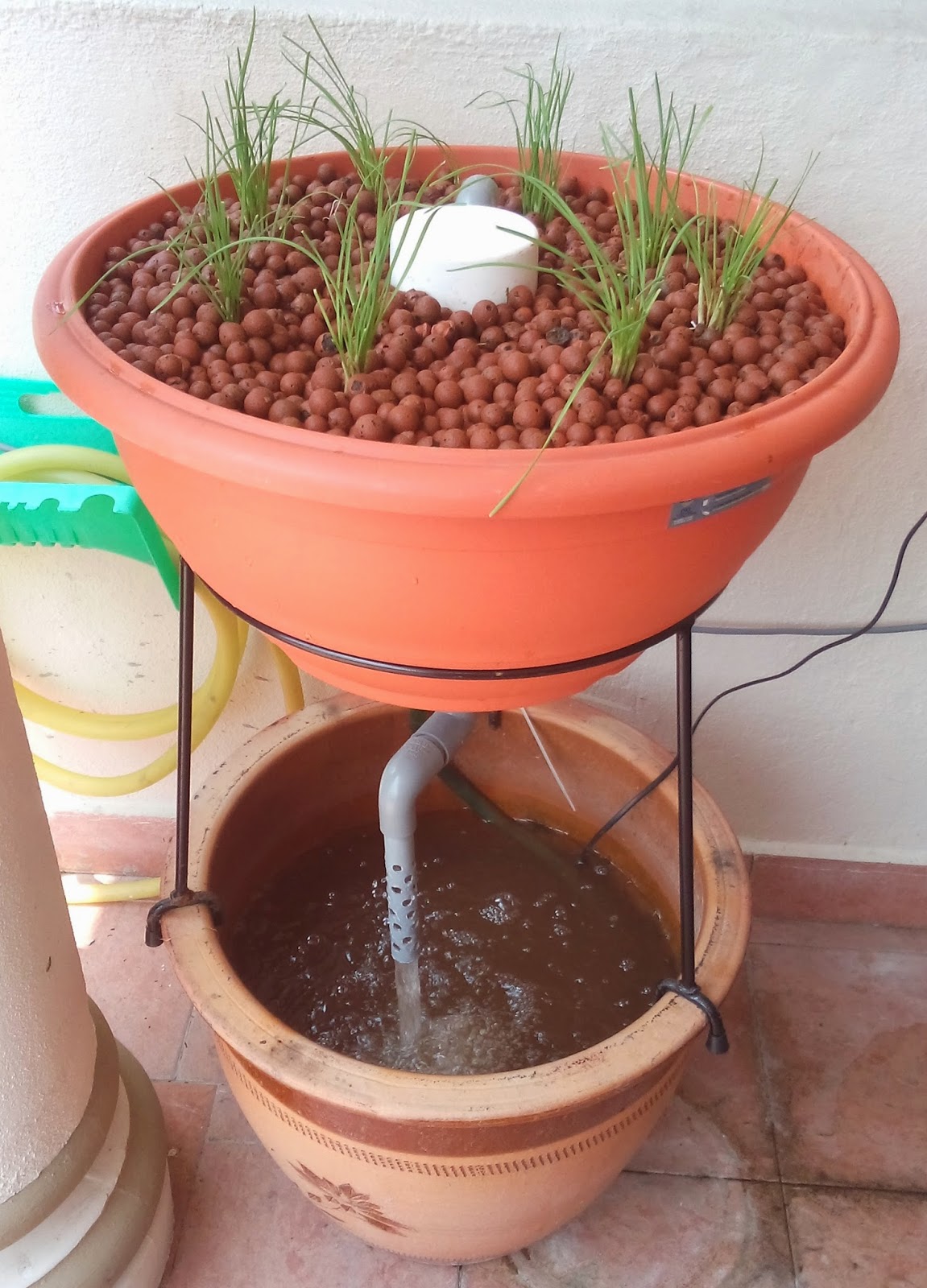 Affnan's Aquaponics: Strainer Bell Siphon - A Simplified Affnan Siphon