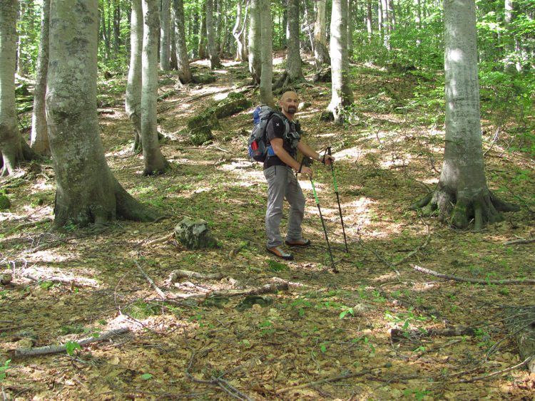 Escursionismo a 360°: Alpe Tre Potenze e Gomito (per il Lago del Greppo) EE