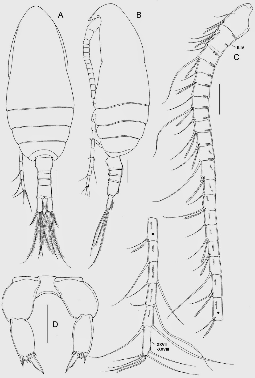 Biodiversity Science: Discoveries of the week
