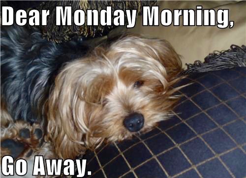 Skip's House of Chaos: Happy Monday, Little Ducks!