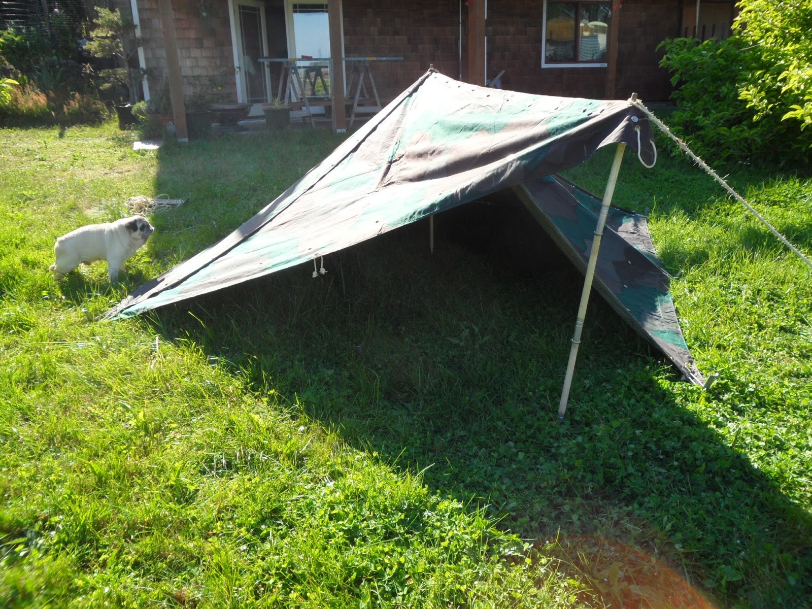 Four Bees: Swedish Zeltbahn Tent Set-Up