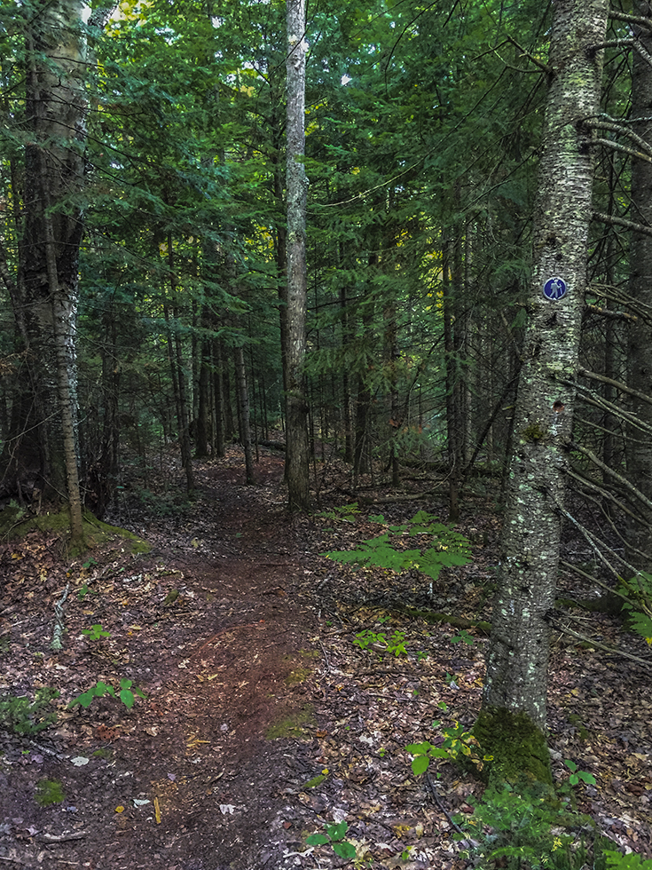 Hiking Frog Bay National Park in Red Cliff WI