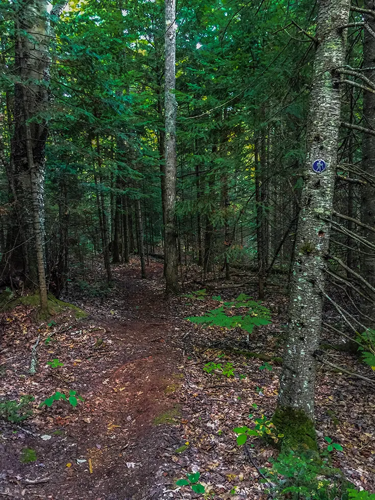 Hiking Frog Bay National Park in Red Cliff WI