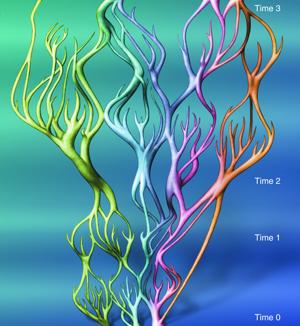 Language Evolution: March 2013