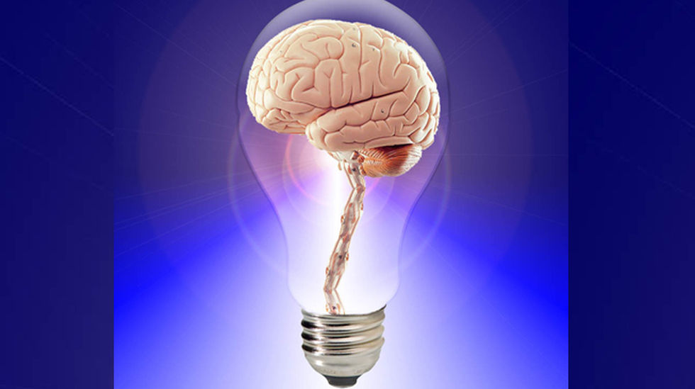 Cerebro al límite: Contenido