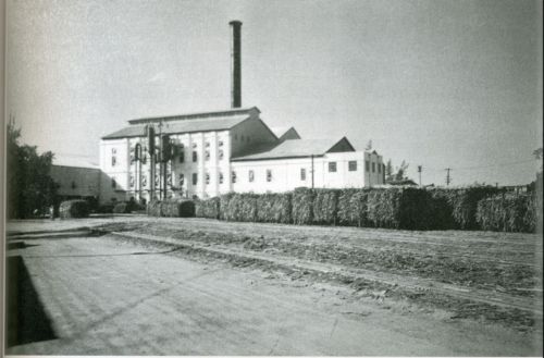 La Industria azucarera: sus inicios y sus logros