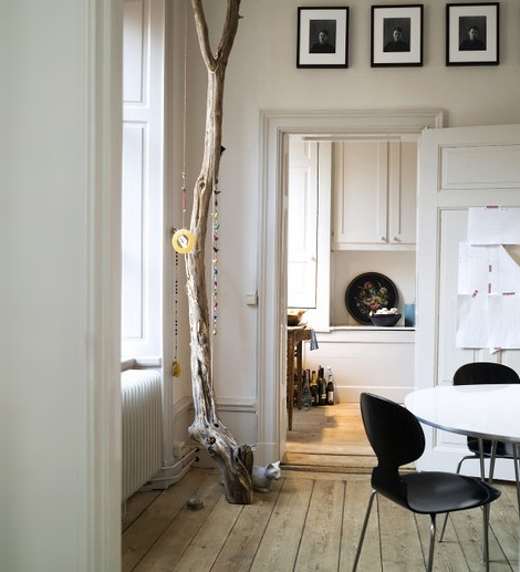 Tree Branches Ideas To Decorate Your Interior ~ AllThingAbout
