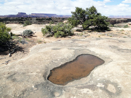 Reflections From the Fence: THE Trip, Canyonlands National Park, The ...