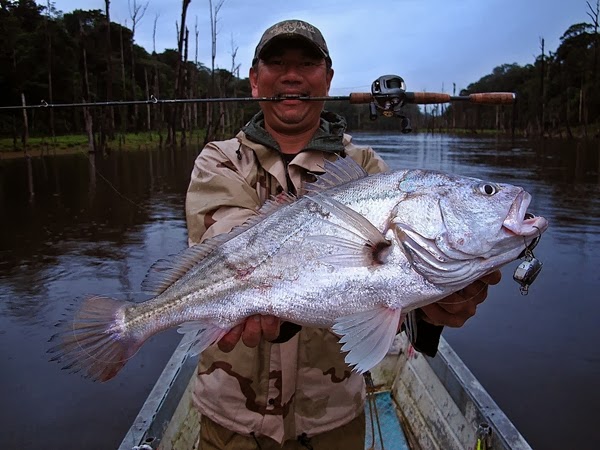 ANGLING WORLD 魔魚釣界: The Exotic Amazon Game Fish - Aimara