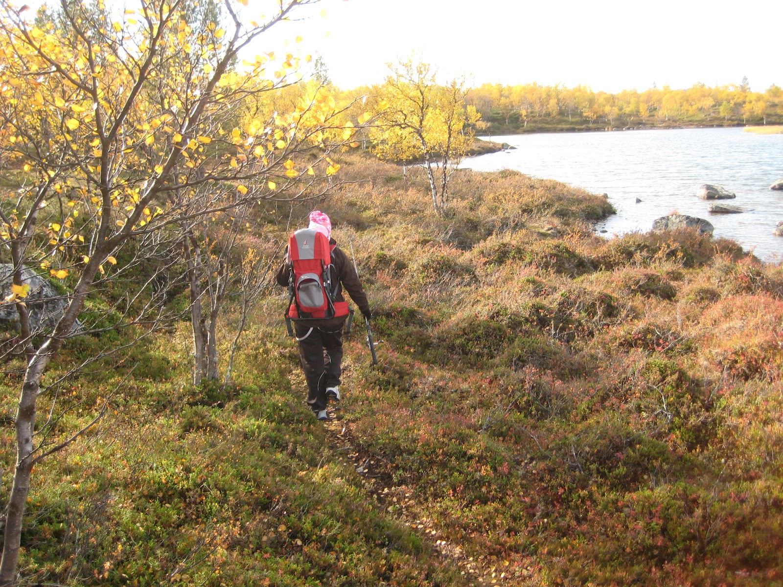 Kalamuija ja lappilifestyle: Suomen Lappi