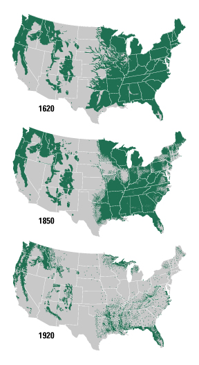 Temperate Climate Permaculture: Deforestation in the U.S.
