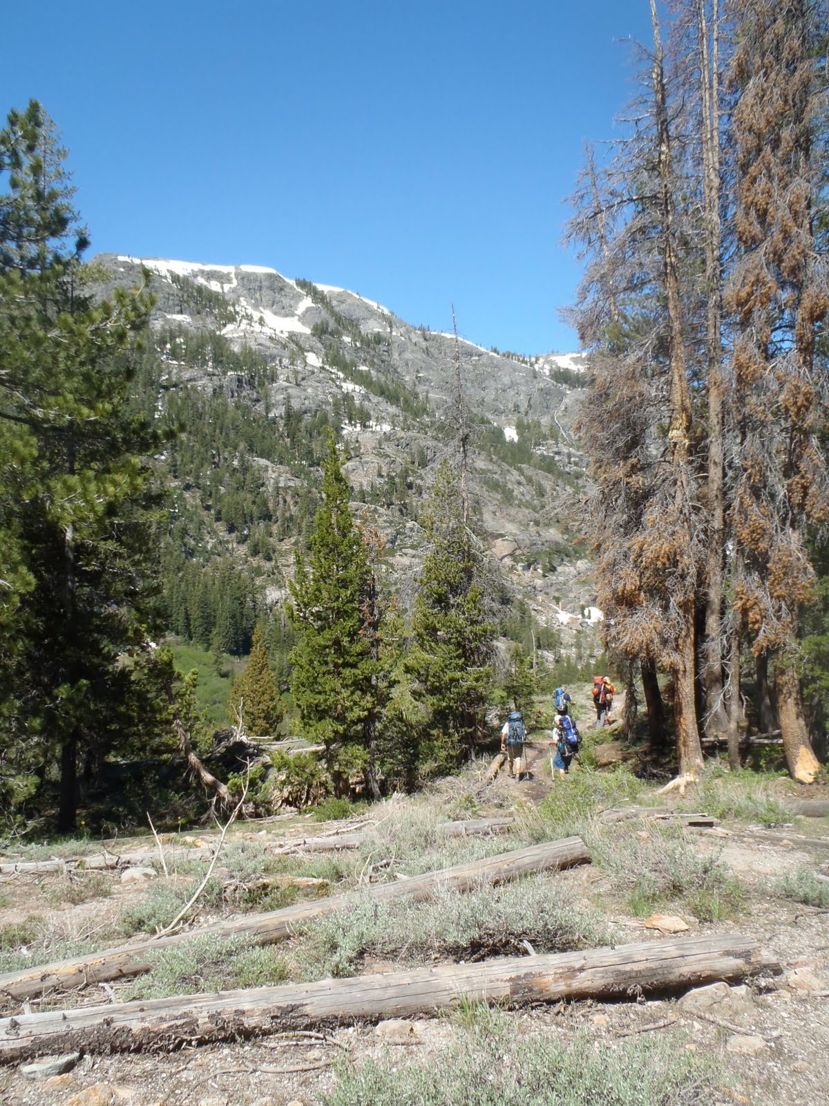 Mt. Ritter | Sierra Mountain Guides