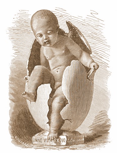 rara avis: Omne vivum ex ovo