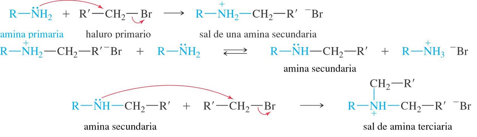 Organicamente Funcional: Aminas 1