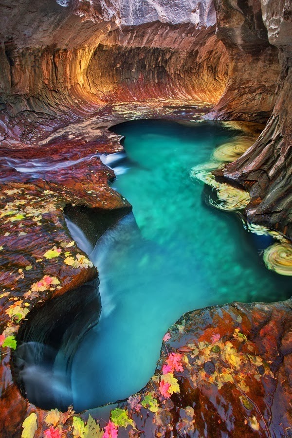 Emerald Pool at Subway Zion National Park, Uta | The Unique Photos