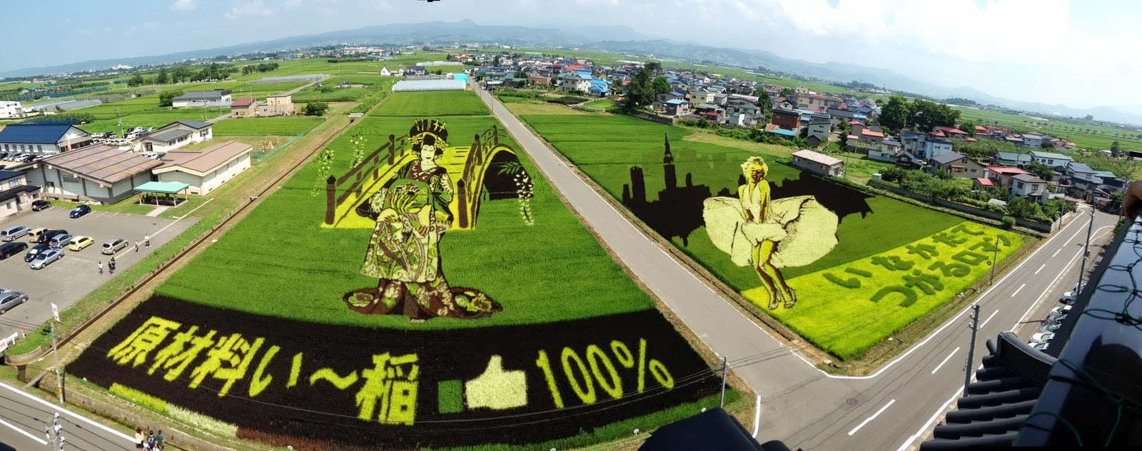 Japan: Inakadate: Ricefield "Tambo" Art