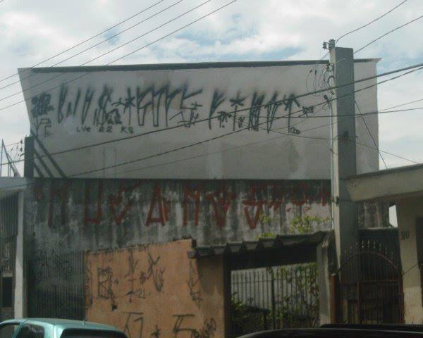 Pixação e Graffiti de São Paulo: Pixação - IBOPS