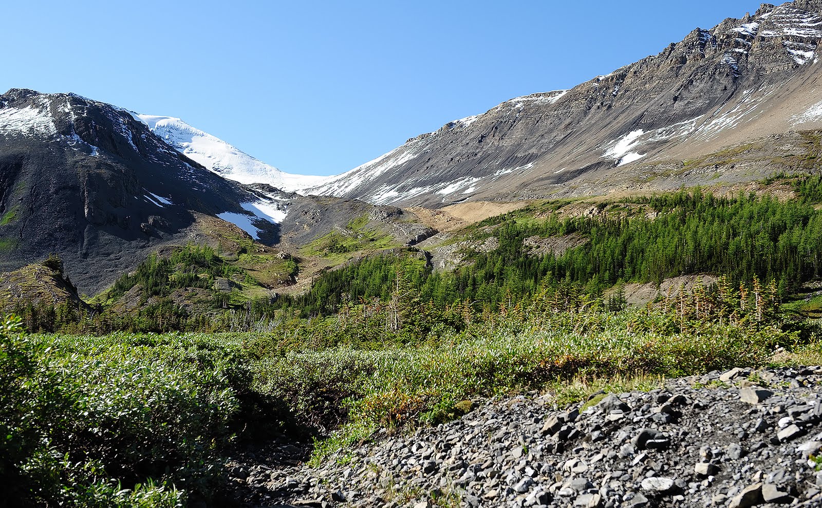 Life in the Mountains: Northover Ridge