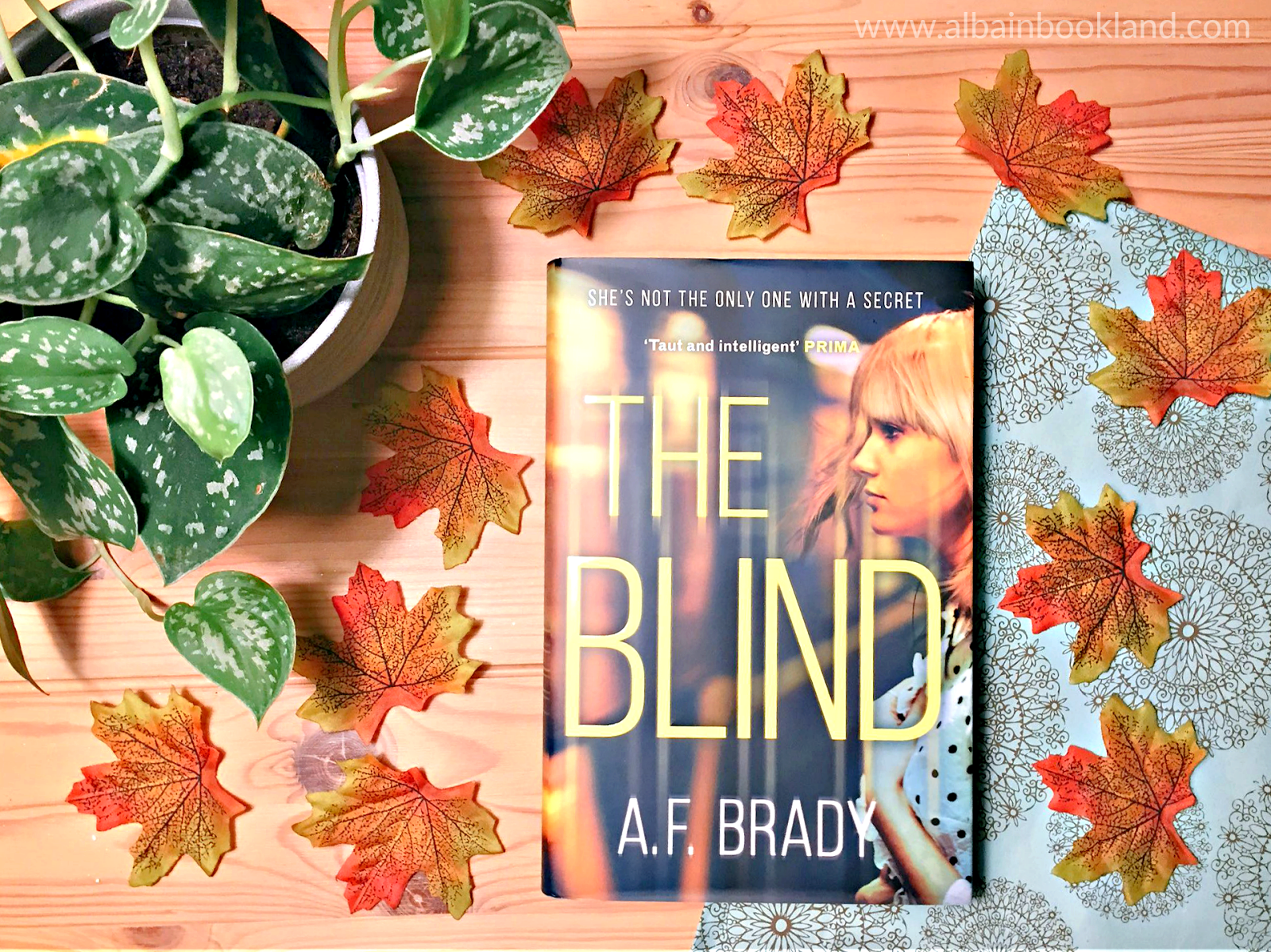 Blog Tour: The Blind - Author Interview with A.F. Brady - Alba in bookland