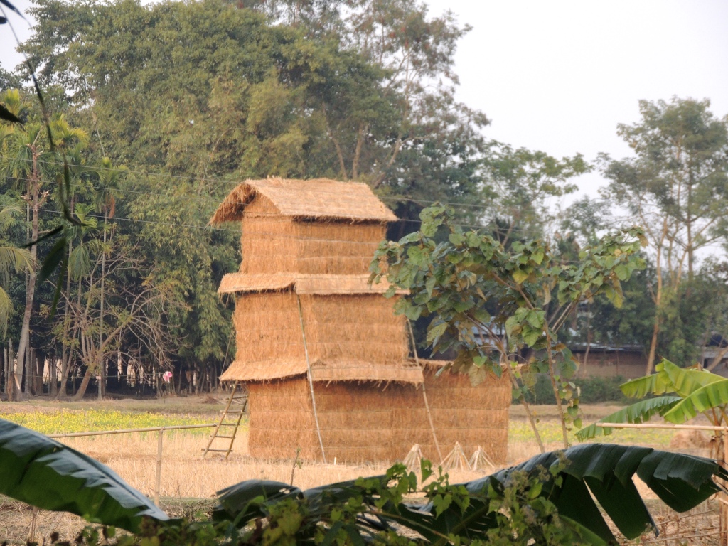 Musings...: The Bhela Ghors of Assam