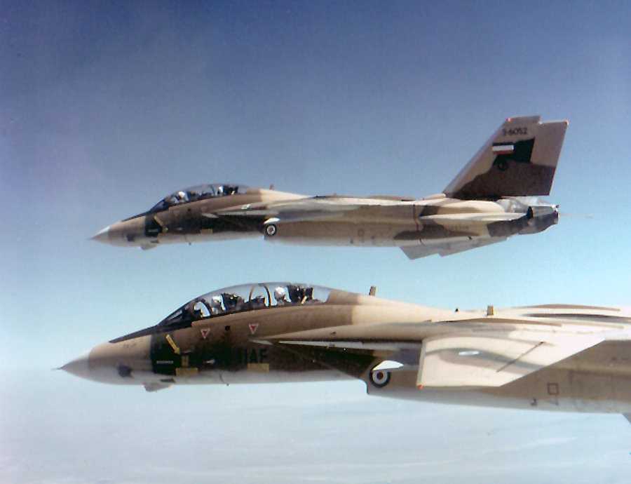 Iran Air Force- F14 Tomcat