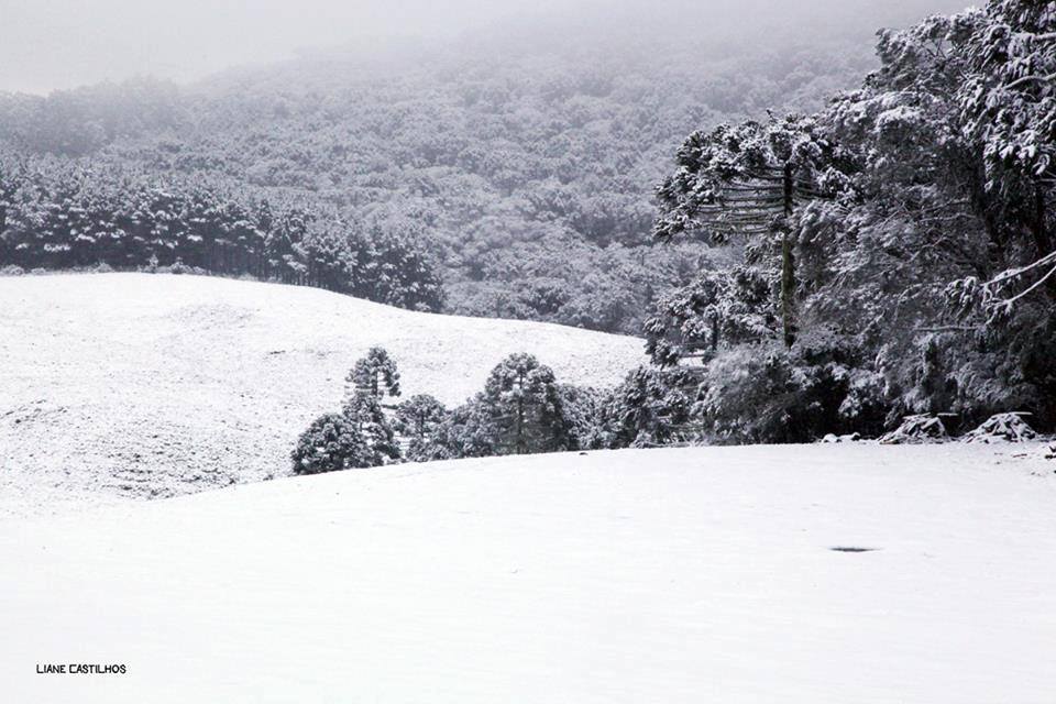 Tempo e Clima SG: Neve braqueia Serra Gaúcha e Catarinense