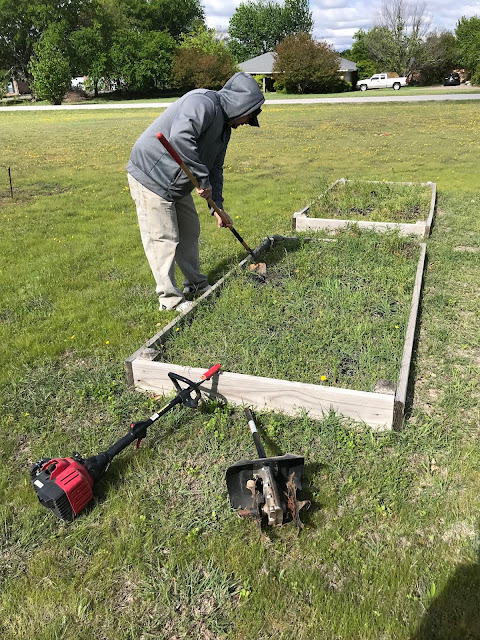Clover House: How to Make a Small Garden