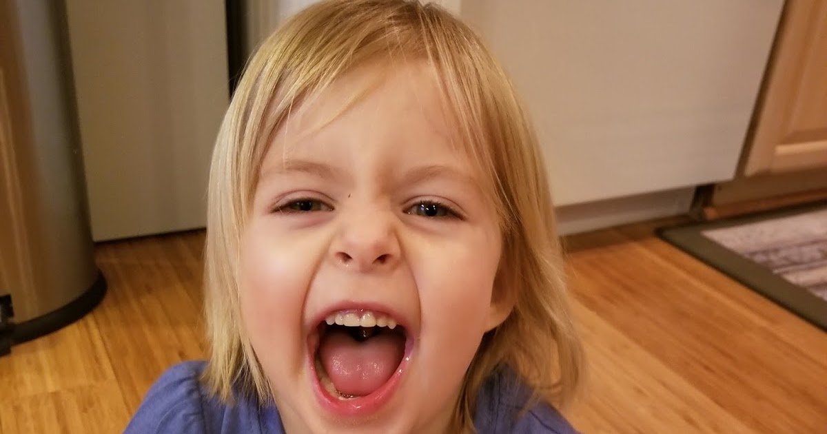 The Hatch Family's Happenings: Teeth, Fancy Nancy, Mystery Reader