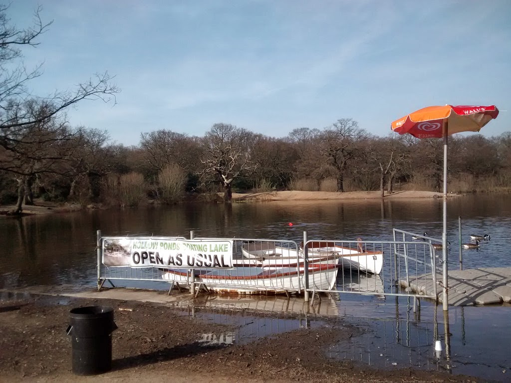 Tired of London, Tired of Life: Take a boat on Hollow Ponds