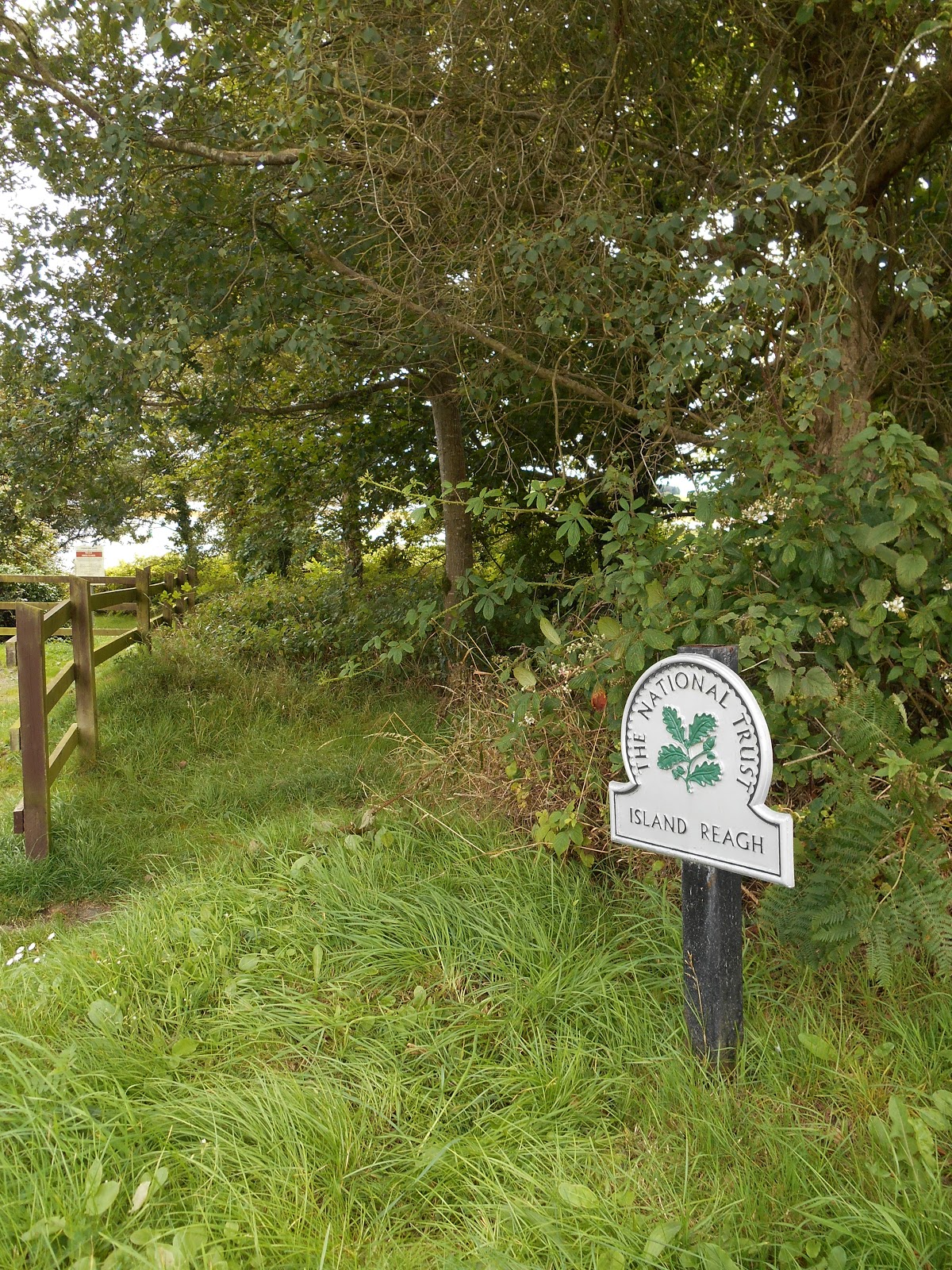 A lifetime of Islands: Island 290 - Reagh Island, Strangford Lough ...