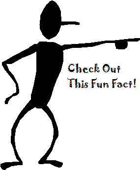 Science In A Snap: Chocolate Chip Meringue Cookies