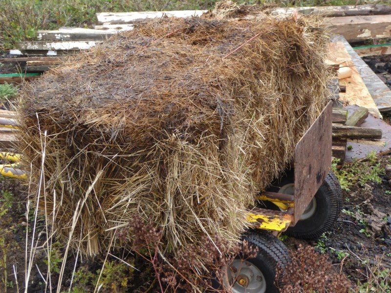 Rural Revolution: Battening down the hatches