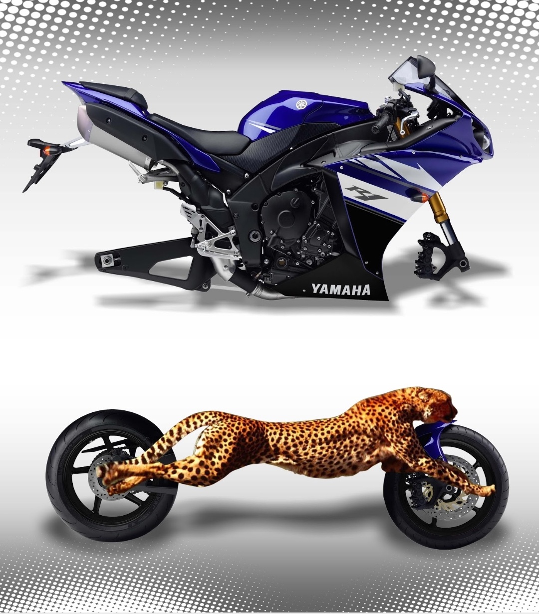 Blog de Conchi: Actividad 4: Recursos estilísticos