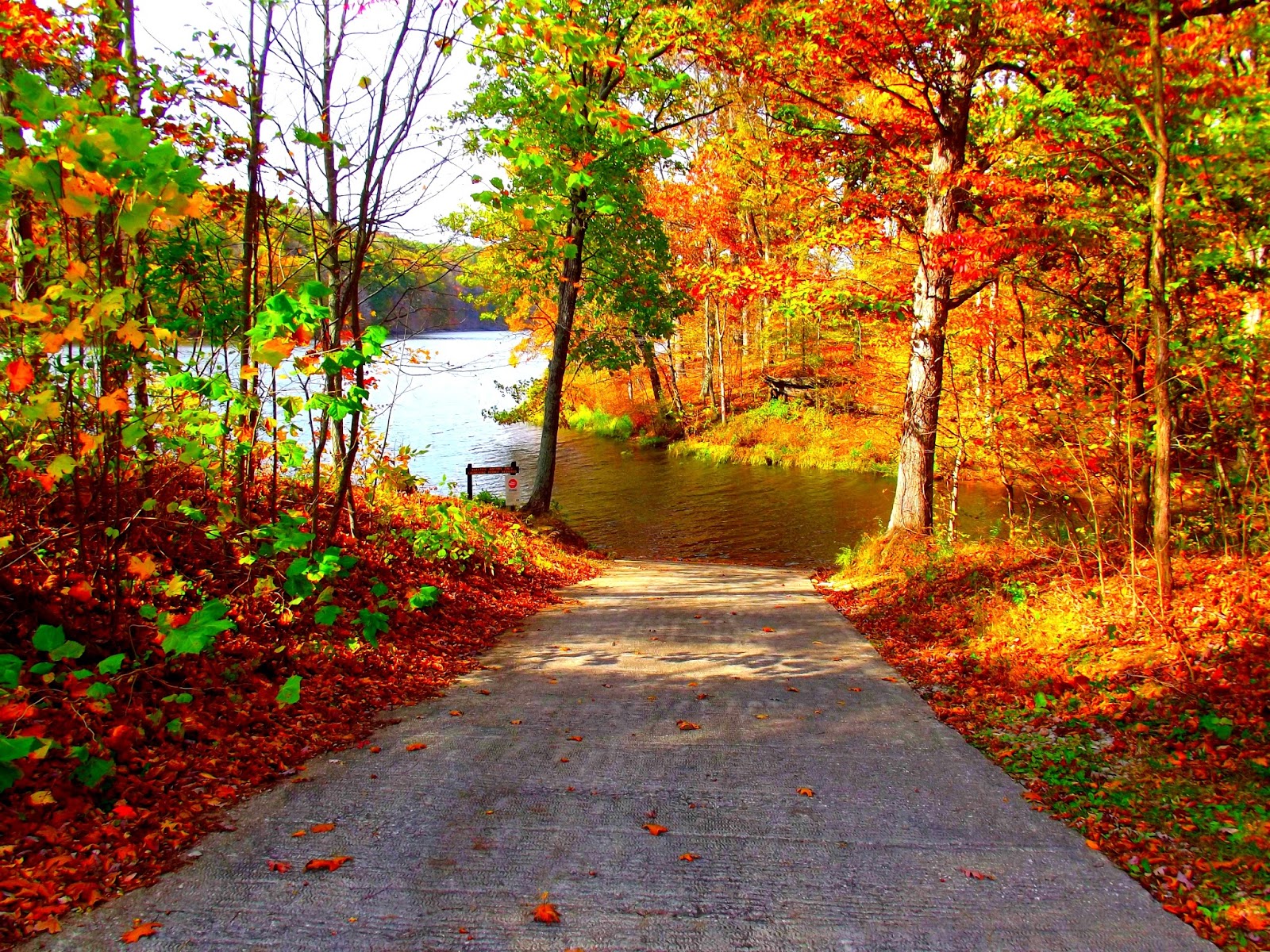 Escape To Nature's Embrace: Unveiling The Hidden Gem Of Indiana's ...