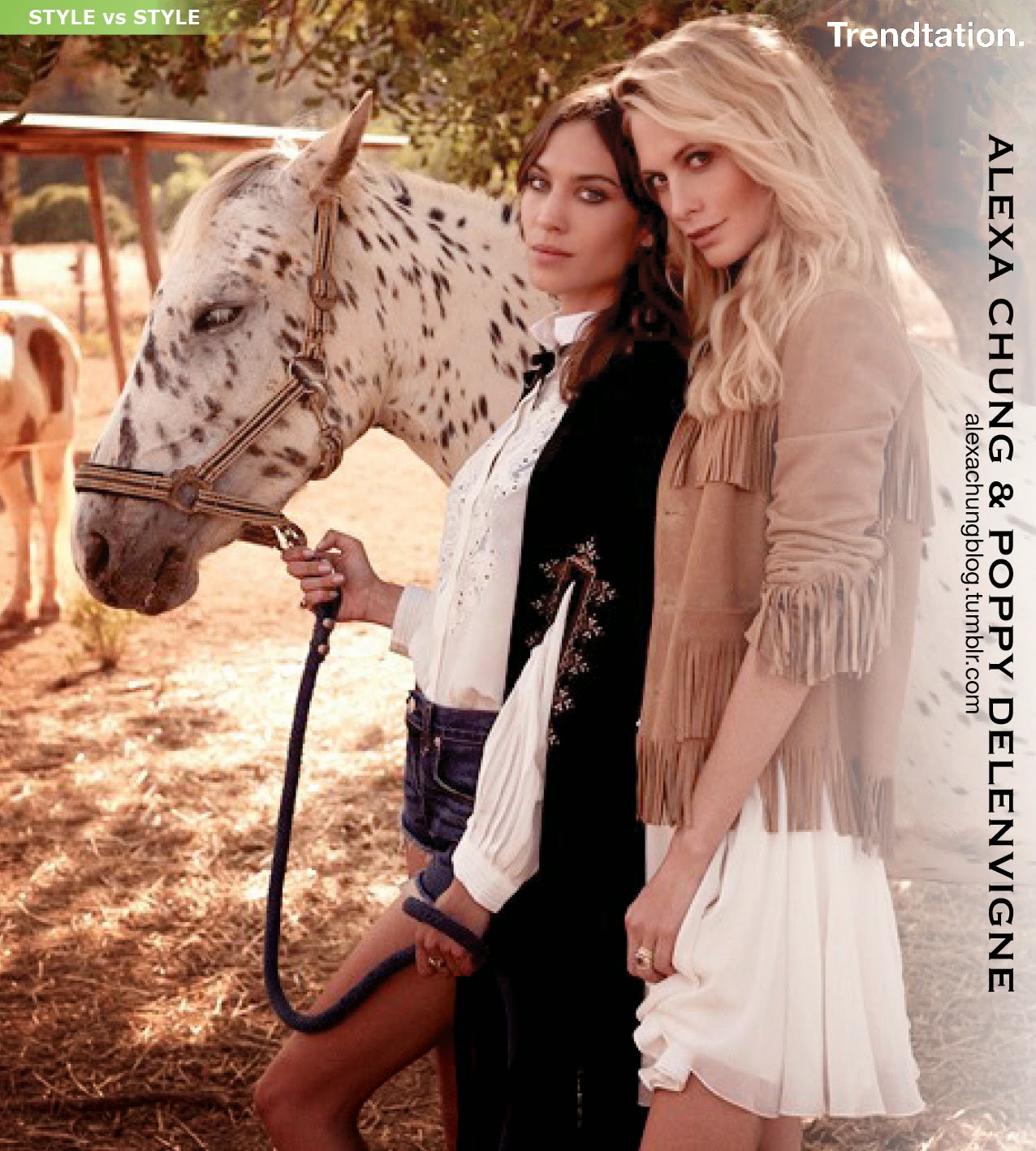 Trendtation's Blog: 2014