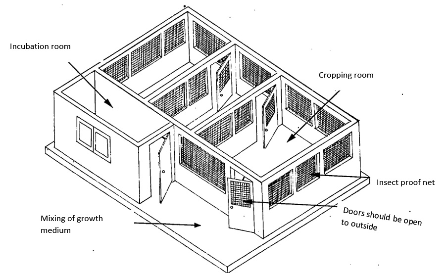 Agriculture of Sri Lanka: Basic Requirements for Mushroom Cultivation