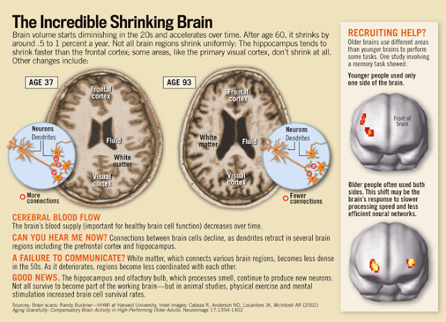 Pegaga Kelat: BEWARE OF 'Shrinking-Brain'